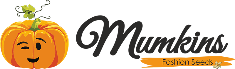 Collections – Mumkins